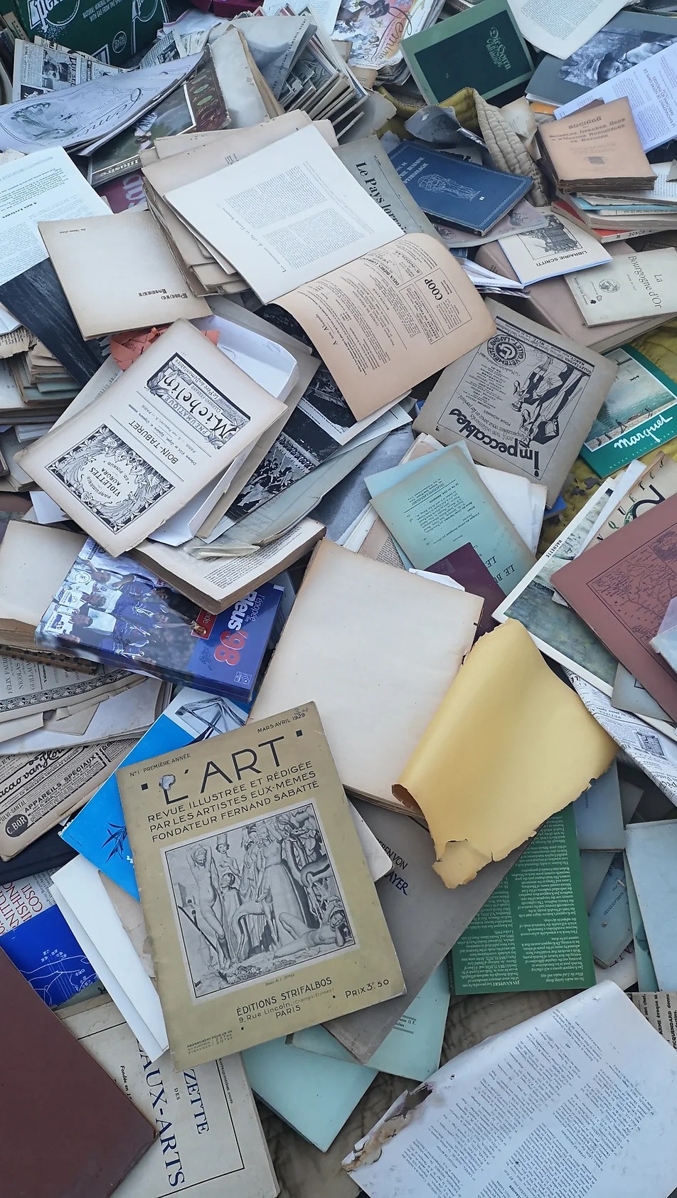 Programmes – Journées Cicat-Occitanie 2026